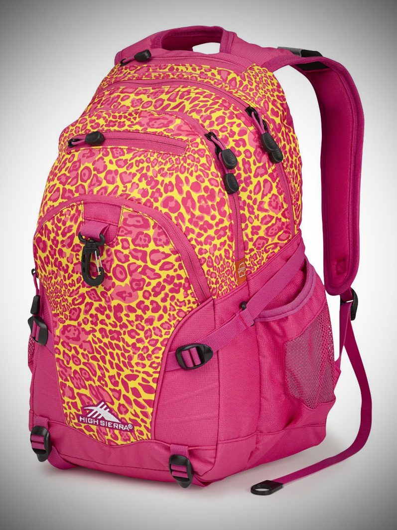 High Sierra Loop Backpack Review | Gear Reviews